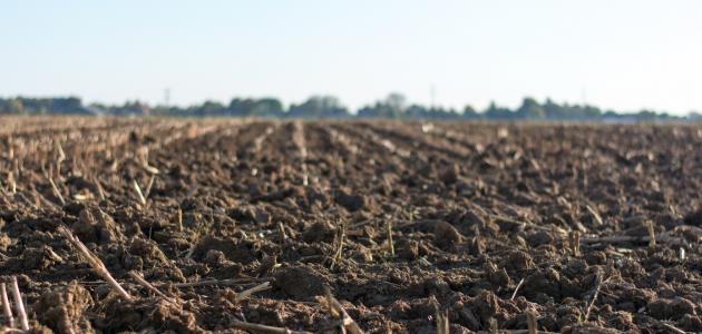 تعرف كيف يتشكل الدبال - موسوعة عين